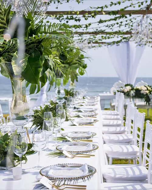 Long Tables in Todos Santos for Weddings & Events